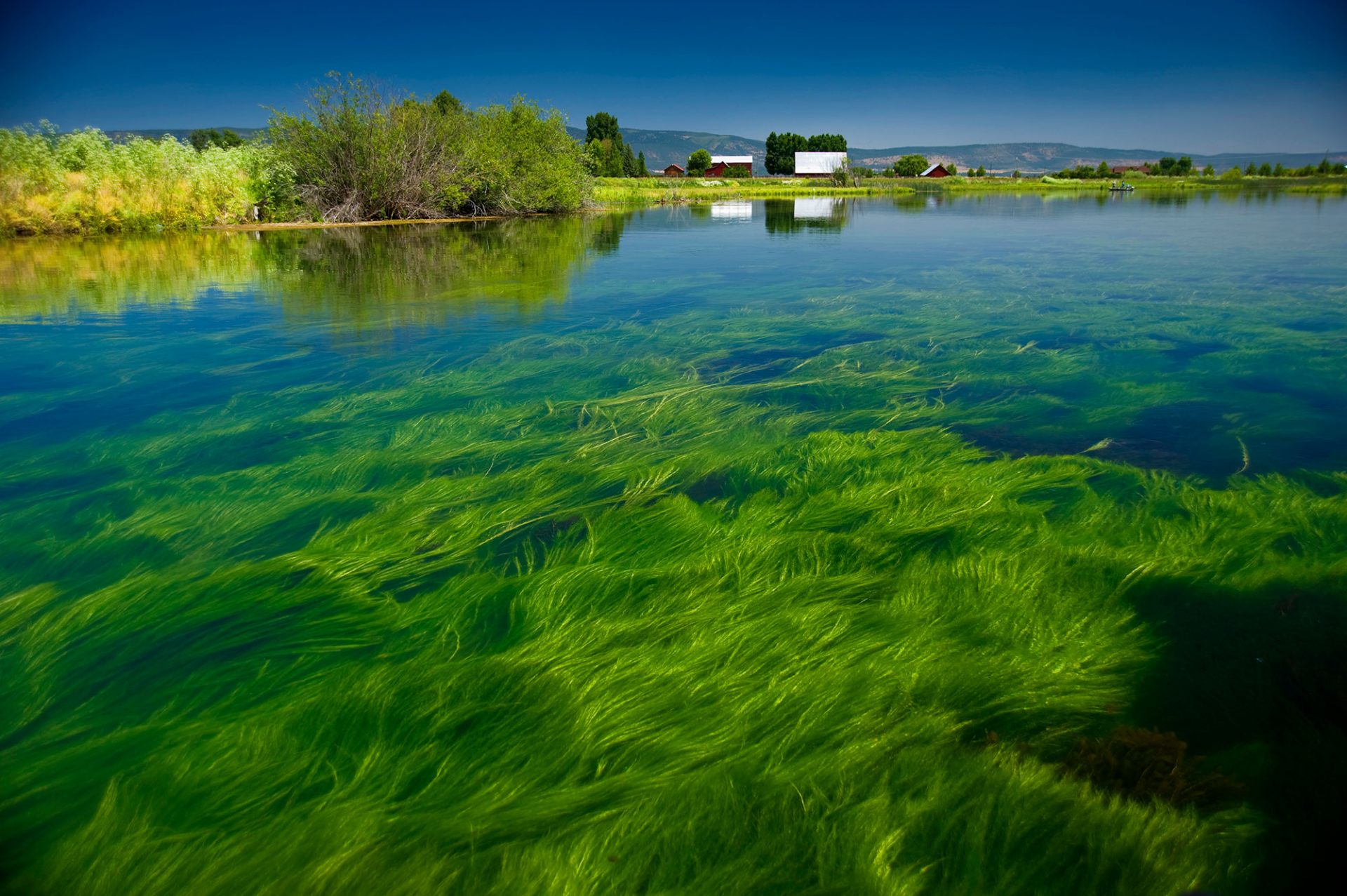 FRC Addresses pH Levels In the Fall River | Fall River Conservancy